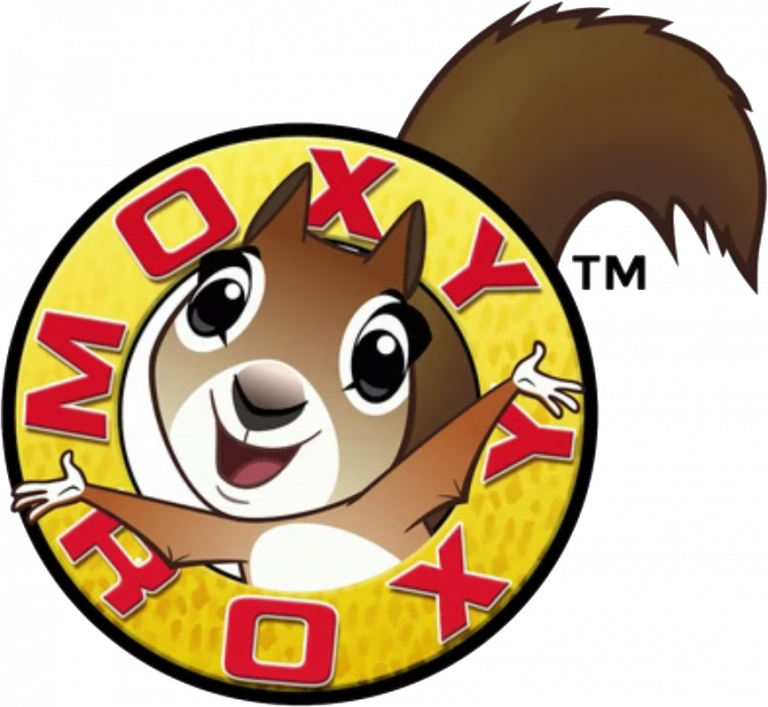 What You Need To Know About Squirrels - Moxy Roxy